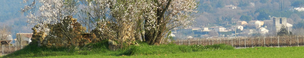 Trets au coeur de la Provence